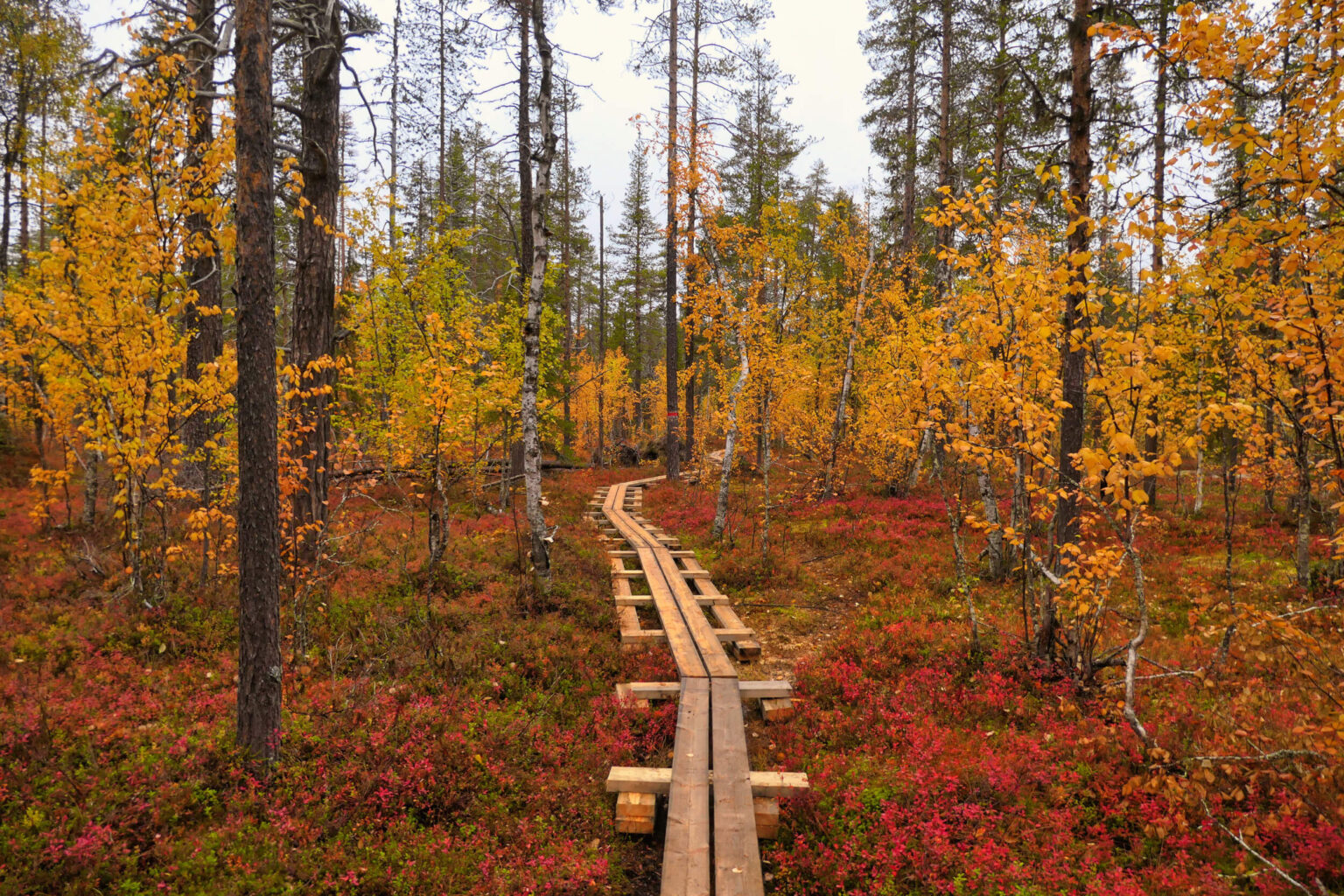 Hike Sápmi (Noord Finland) | 11 t/m 16 september 2026 - BuitenGewoonte